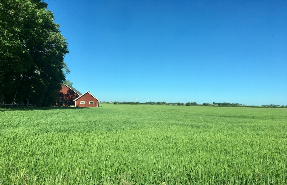 Crime in Urban & Rural Areas – Safe Places